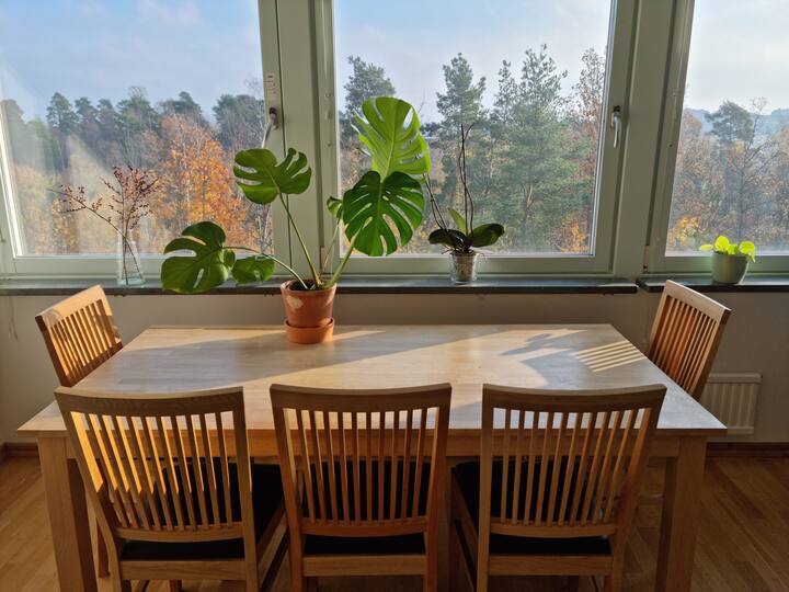 Lovely 2-room Apartment With Glorious View - Solna