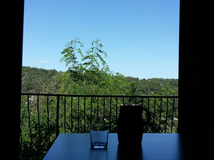 Calme Et Nature à Vence - La Gaude