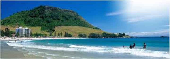 Muricata Magic - Mount Maunganui