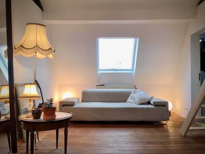 Full Light Loft Brussels - Wiels - Forest