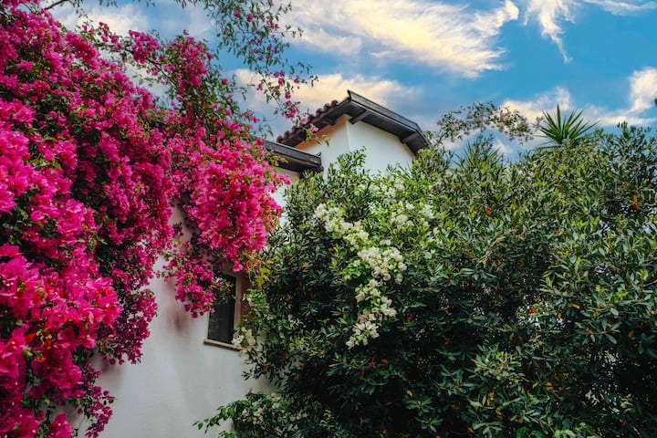 Sunset Houses Datça-akdeniz Evi - Datça