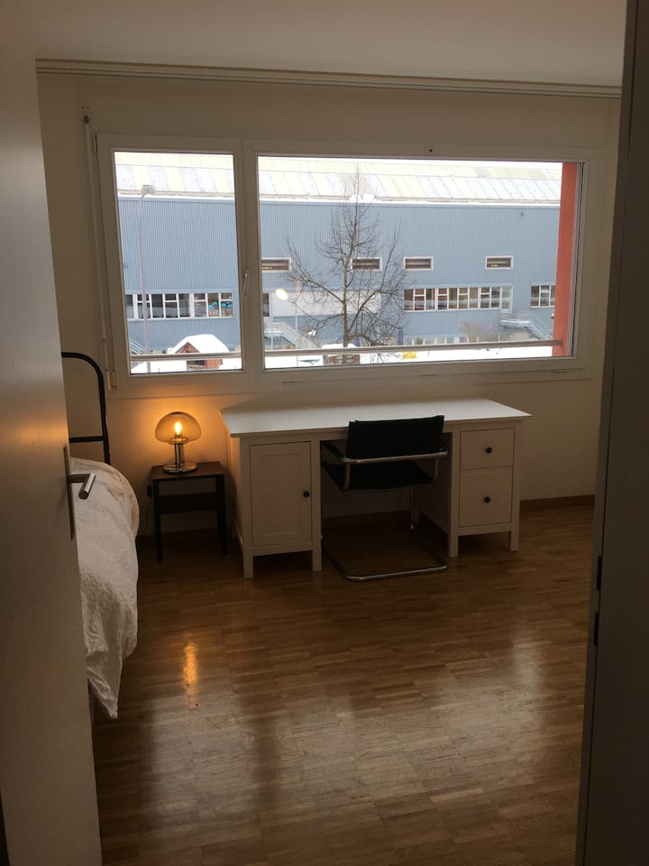 Room In Attractive Flat 15 Mins To Downtown Zurich - Zurich, Switzerland