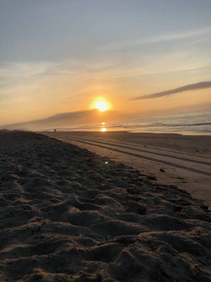 Davis Park, Fire Island House Rentals | Hotel and House Rentals | Airbnb