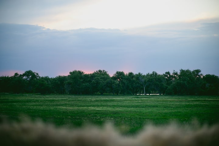 River Fort Ranch - Greeley, CO
