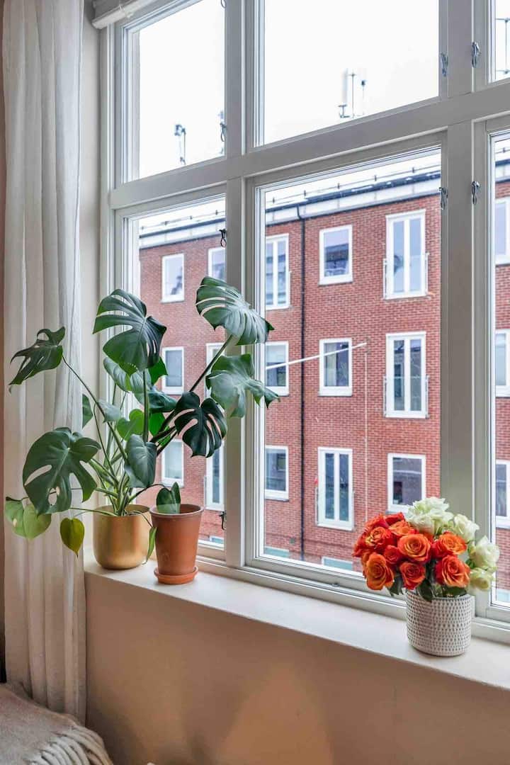 Koselig Og Sentral Leilighet - Oslo