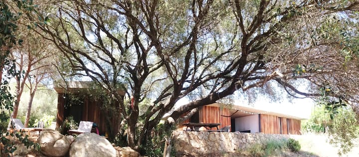Maison D'architecte Vue Mer à 300m De La Plage. - Olmeto