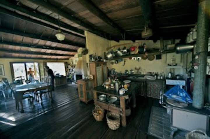 La Vaca En La Playa Del San Antonio - Uruguay