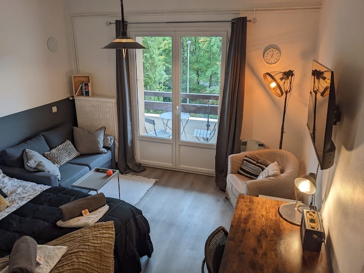 Modern And Cosy Studio Apartment - Annecy-le-vieux - Cran-Gevrier