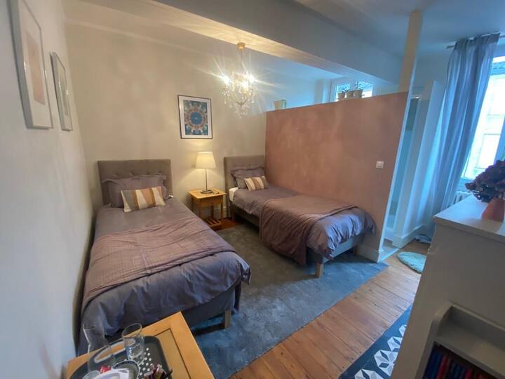 Le Prince B&b Twin Room Nr Nérac W Ensuite & Patio - Nérac