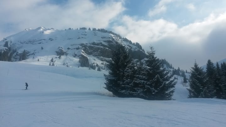 Praz-sur-arly Appartement Cosy ( 5 Min Megève ) - Lac des Evettes