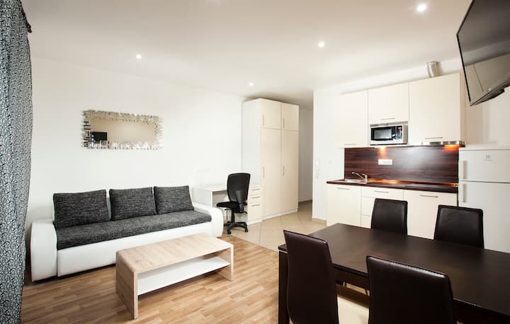 Apartmán Kopečná 938/3, (17) With Parking - Brno
