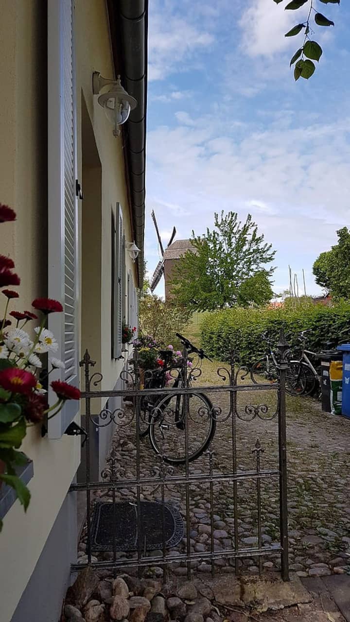 Viel Radfahren: Haus Auf Der Insel Werder (Havel) - Potsdam