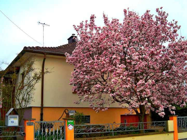 Gite Du Mondain - Marckolsheim