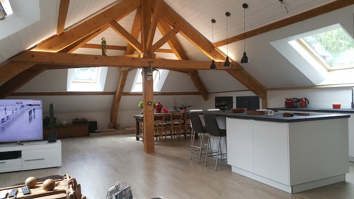 Loft Entre Lac Et Stations De Ski - Thônes