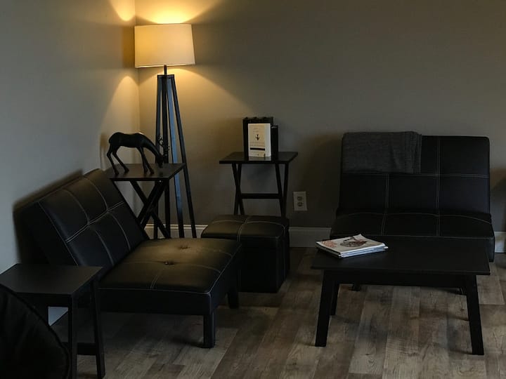Downtown Anchorage Apartment - Anchorage