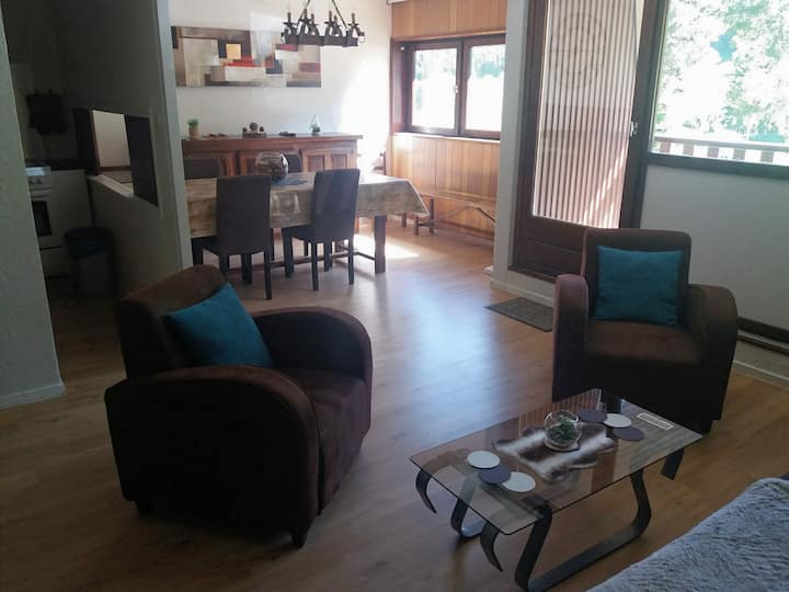 Gd Studio 35 M2 Pied Des Pistes Et Des Randonnées - Mont-Dore