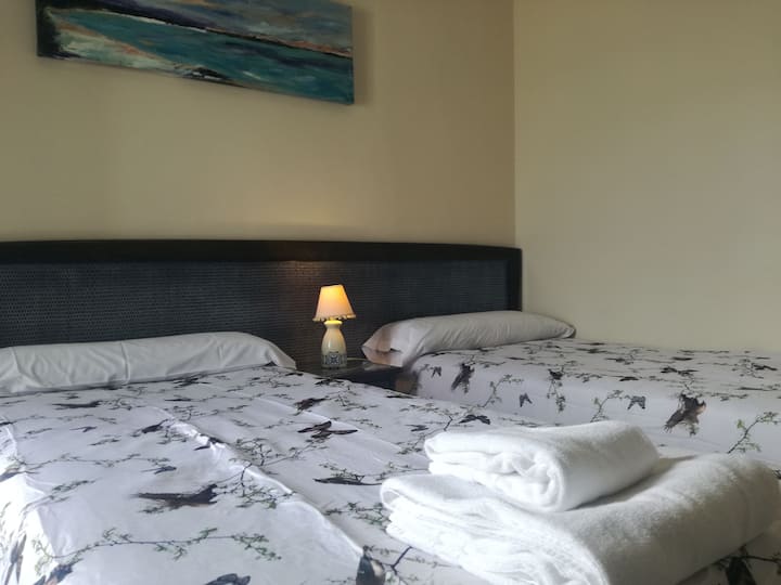 Bright Apartment In Casa Palacio. Wifi And A / A - Puerto Real