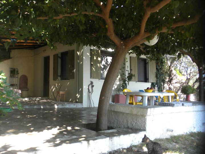 "Τα Ονειρόσπιτα της Παρίσαινας " /  ΑΜΜΟΣ - Griechenland