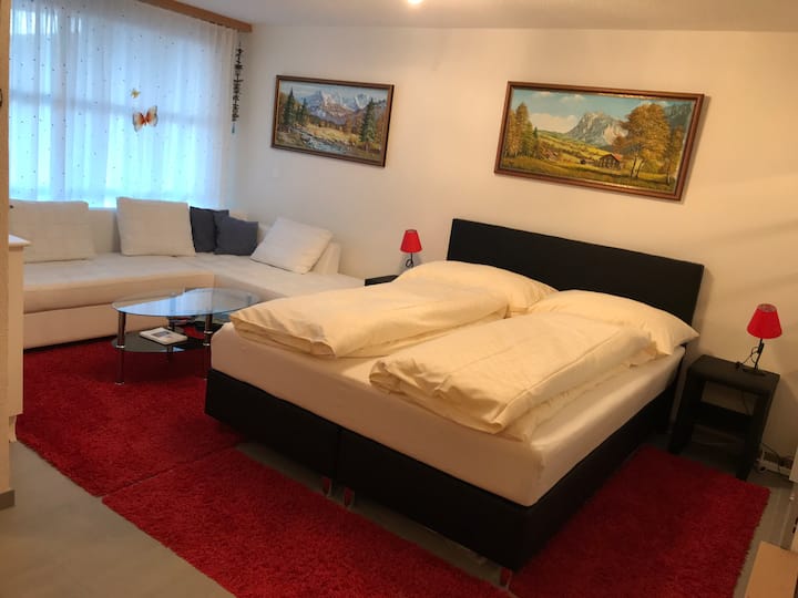 Traumhafte Wohnung Für Erholung-und Aktivurlaub! - Beatenberg