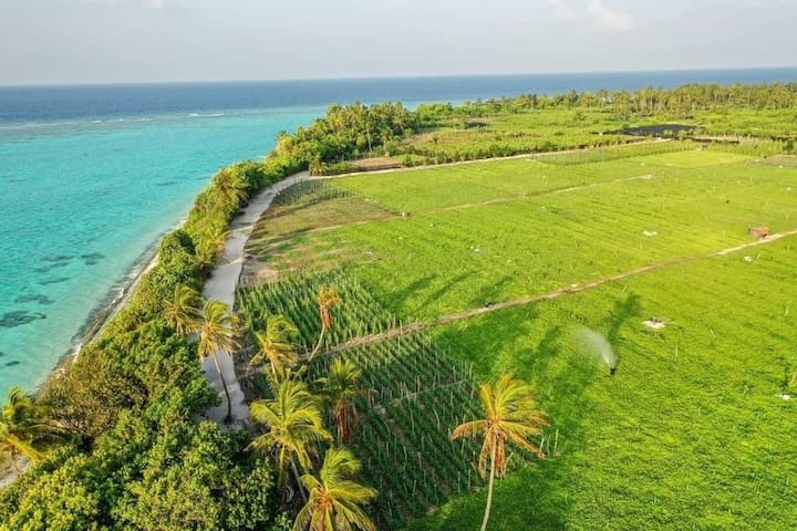 8 Bhk Villa - 1 Hour Boat From Male - Malé