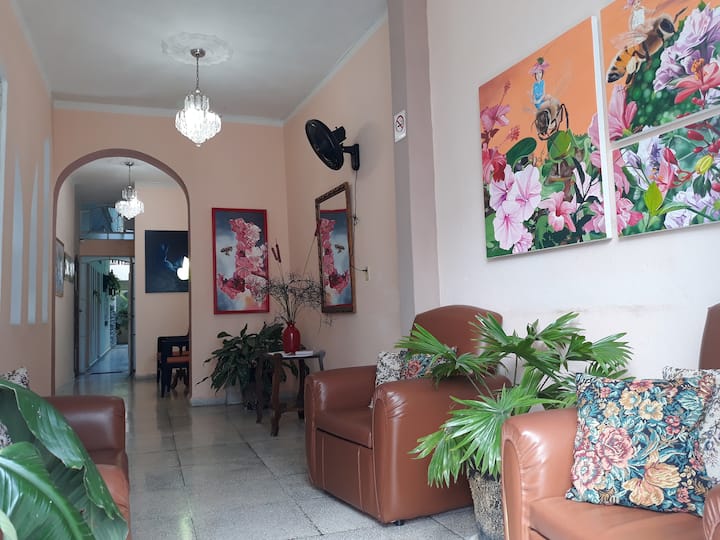 Vista Al Mejunje 4 Grandes Chambres Indépendantes - Cuba