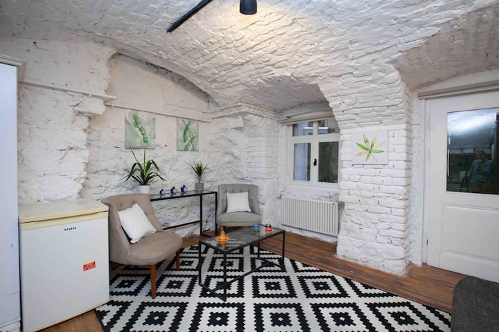 Historical Comfy Flat In Taksim - 00 - Istanbul