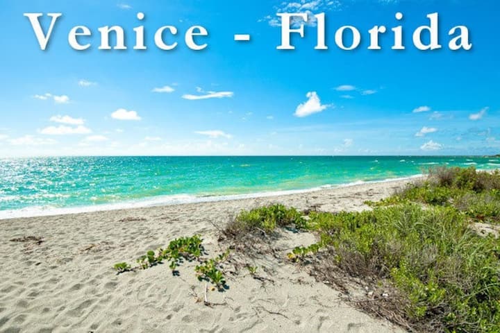 On Island Private Pool Home-walk To Great Beach! - Venice Beach, FL