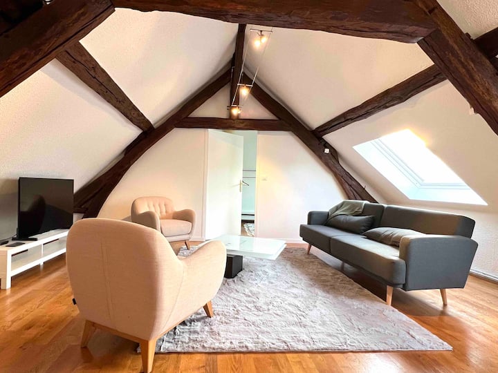 Grand Appartement En Centre Ville - Chantilly