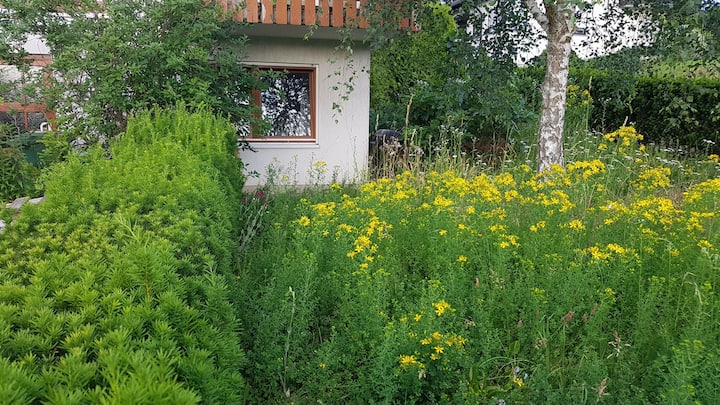 Einliegerwohnung Im Grünen - Wiesloch