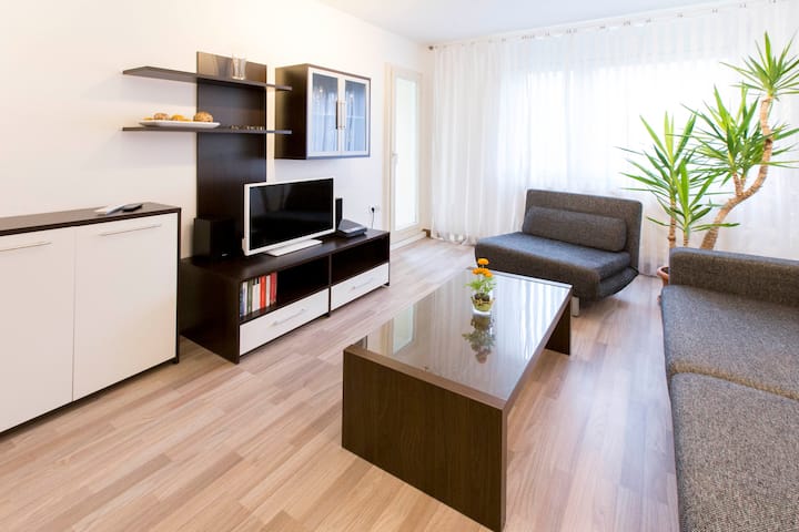 Exclusive 1 Bedroom City Apartment - Heidelberg