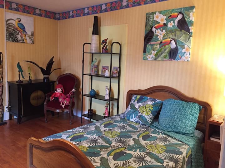 Chambre Aux Oiseaux - Dompierre-sur-Besbre