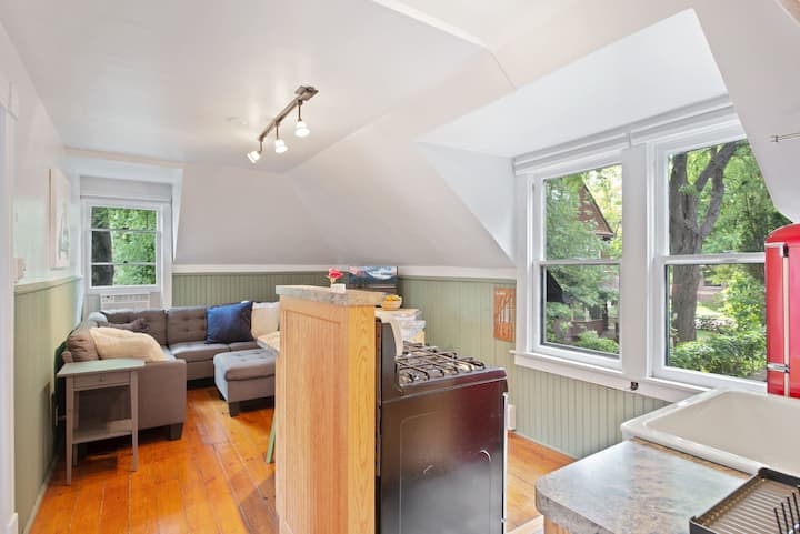 Historic District Carriage House- The Cutest - Saint Paul, MN