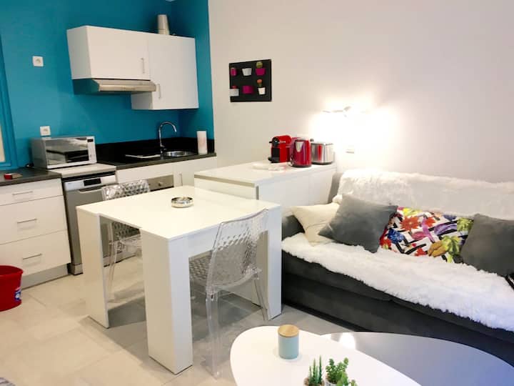 Blue Maj Appartement 30 M², 2/4 Pers. Hyper Centre - Aix-les-Bains