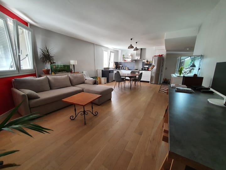 Appartement Lumineux Et Spacieux (Plein Centre) - Valence