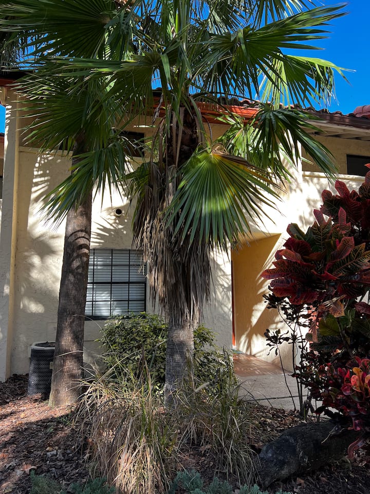 Lake Townhs Disney/univ/conv #168 - Orlando