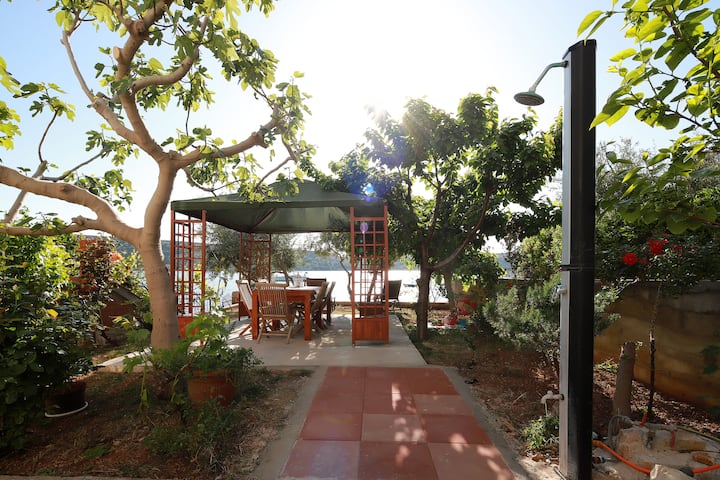 Apartmani Tereza Stara Novalja - Stara Novalja