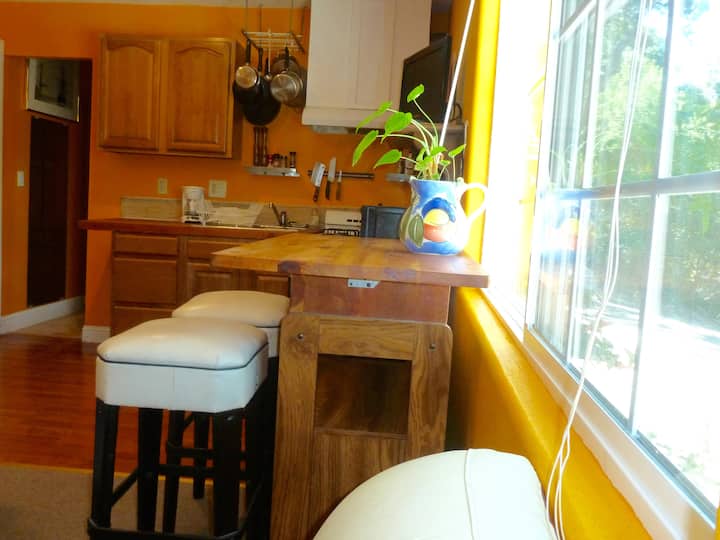 Spacious 1bd  Studio W/view & 1 Small Car Parking - Walnut Creek, CA