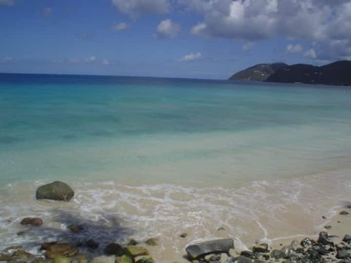 Chateau Relaxeau Caribe At The Water's Edge/surf! - East End