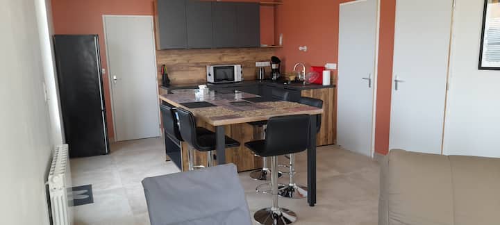 Maison 100m Plage Demoiselles. - Saint-Jean-de-Monts