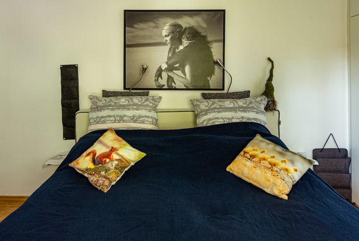 Petit Mais Costaud! à Célibataire Ou 2 Garconiere - Salzburg