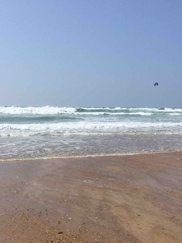 Maison Zen Entre Océan Et Forêt
Terrasse Et Jardin - Tosse