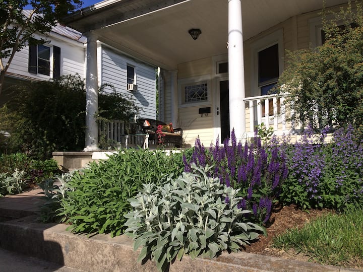 Your Home Away From Home In Downtown Harrisonburg - Harrisonburg, VA