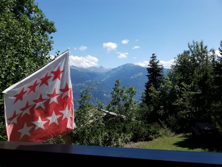 Chalet, Un Bel Appartement Dans Un Chalet Typique - Sierre