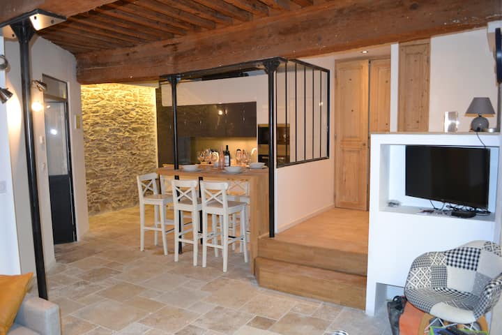 Appartement 2 Ch Avec Cour Privée-courbe De Saone - Lyon