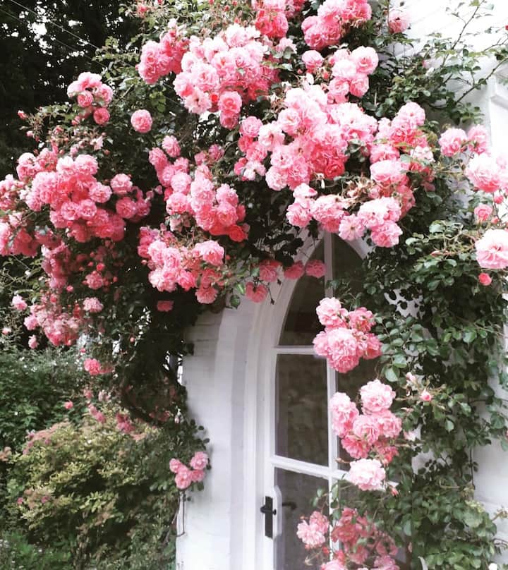 The Perfect Escape Summer Cottage Holt Norfolk - Holt