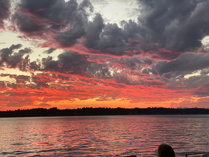 Olympia Waterfront Beach Cottage. - Tolmie State Park, Olympia