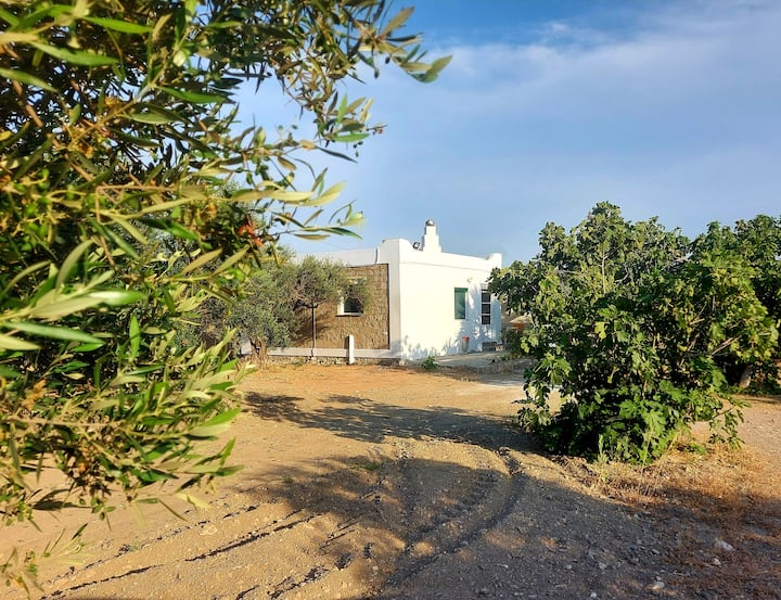 Frank's Farmer House In Kampos - Milos