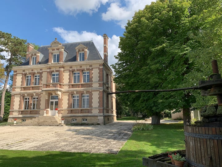Chateau Near Chablis With Indoor Pool - Chablis