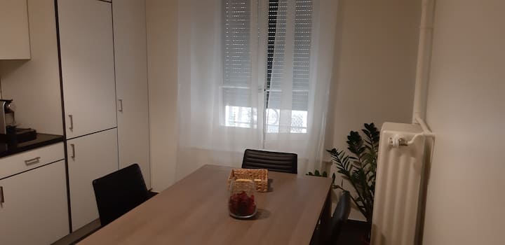 One Bedroom In Plainpalais - Annemasse