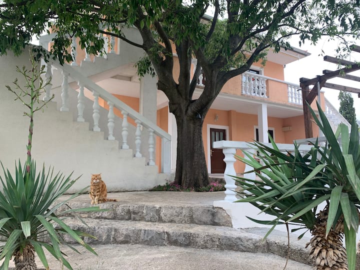 Apartman 4+2 - Starigrad-Paklenica